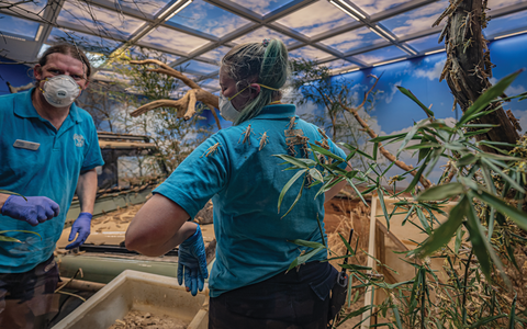 Personal protective equipment | IOSH magazine